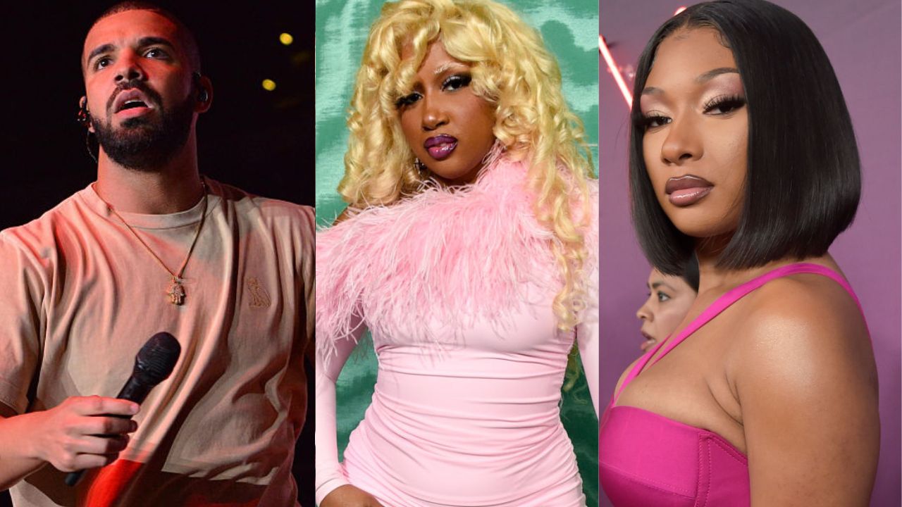 Drake Catches Stray From Baby Tate In Megan Thee Stallion 'BOA ...