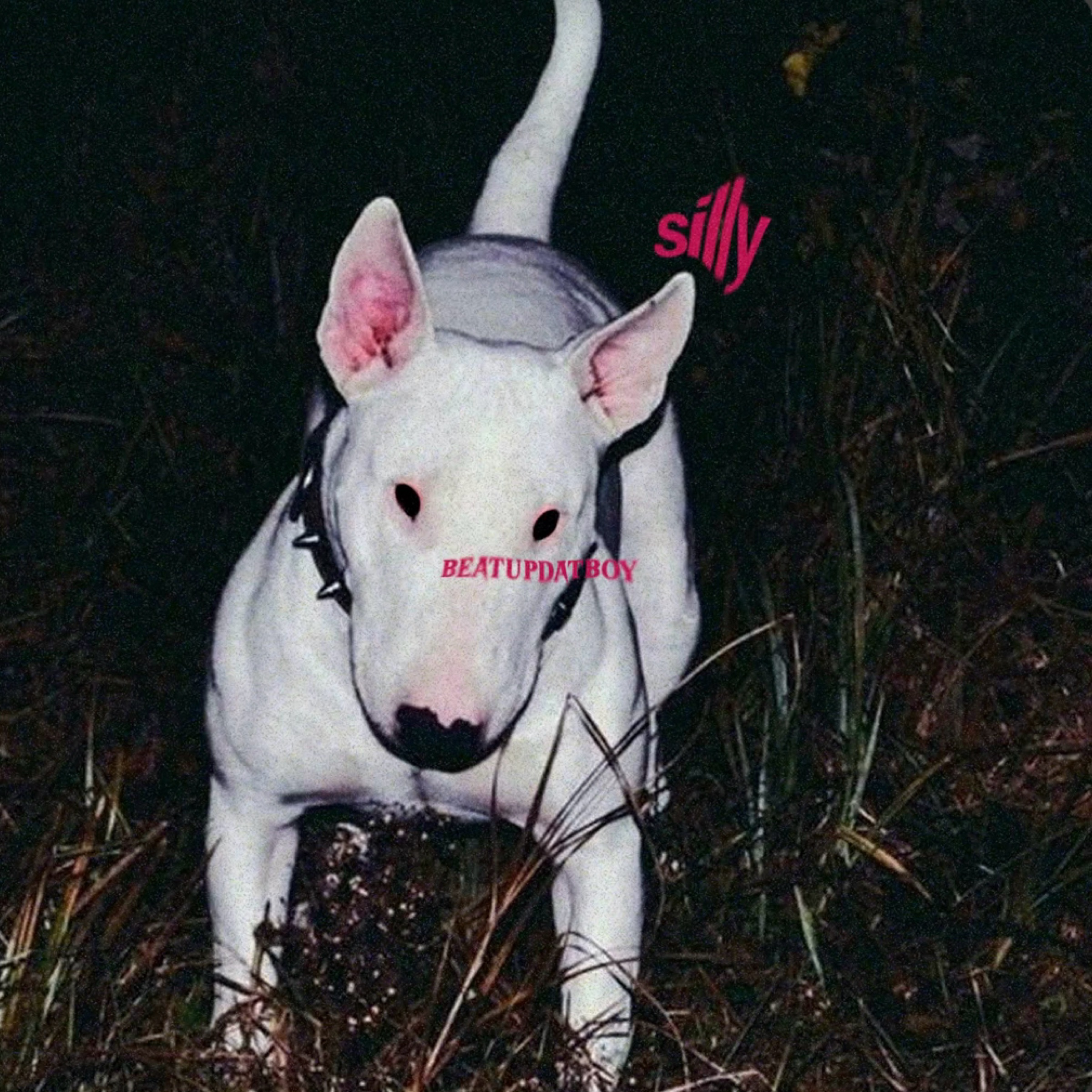 TisaKorean - 'bEat uP dAt bOy' - HipHopDX