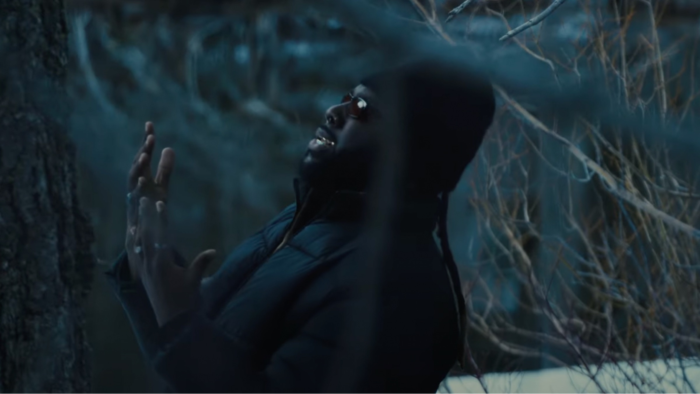 Rexx Life Raj - 'Narrated By Me' - HipHopDX